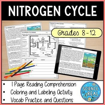 Biogeochemical Cycles Reading Comprehension and Diagramming Bundle ...