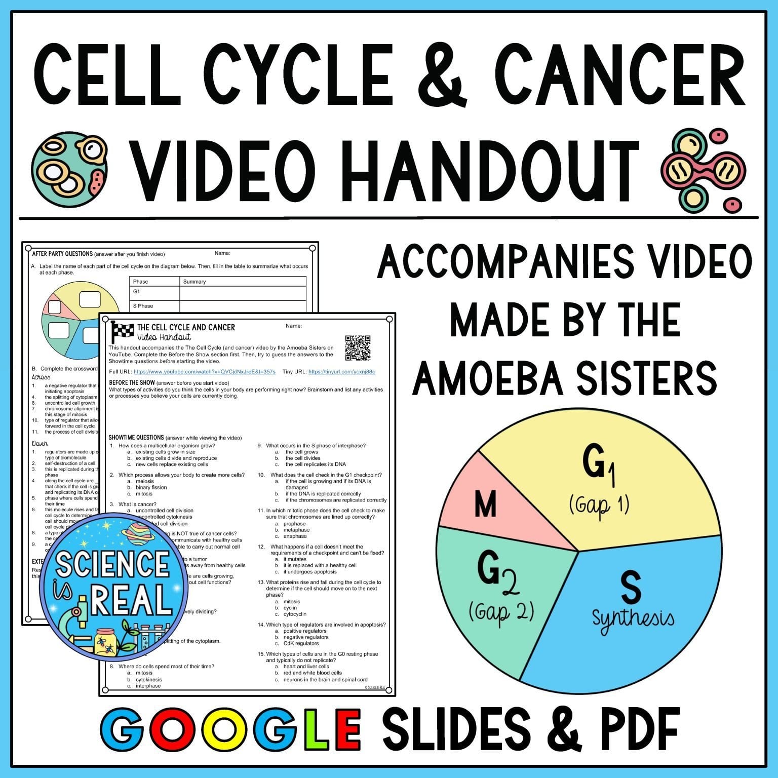 Cell Cycle Amoeba Sisters Handout - Science is Real Education