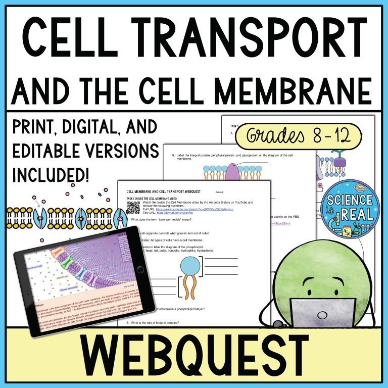 Cell Membrane Amoeba Sisters Handout - Science is Real Education