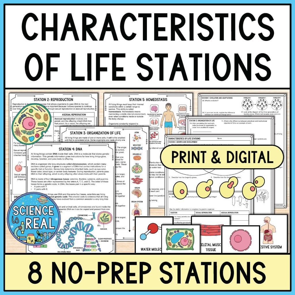Teaching Characteristics of Life: 10 Fun Lessons and a Freebie ...