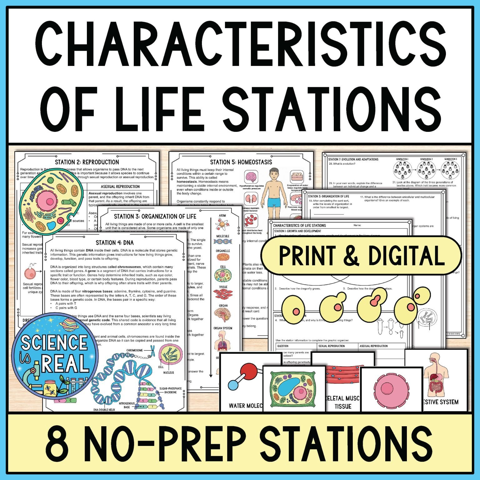 Characteristics of Life Stations Lab - Science is Real Education