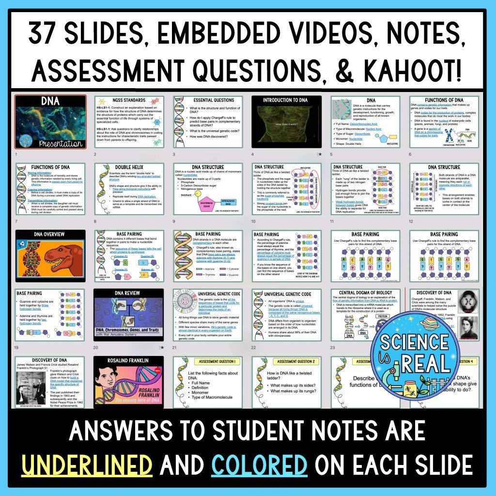 DNA PowerPoint with Notes and Assessment - Science is Real Education