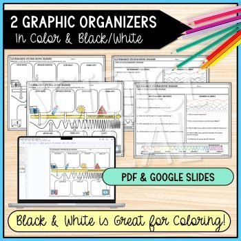 Electromagnetic Spectrum Graphic Organizer - Science is Real Education