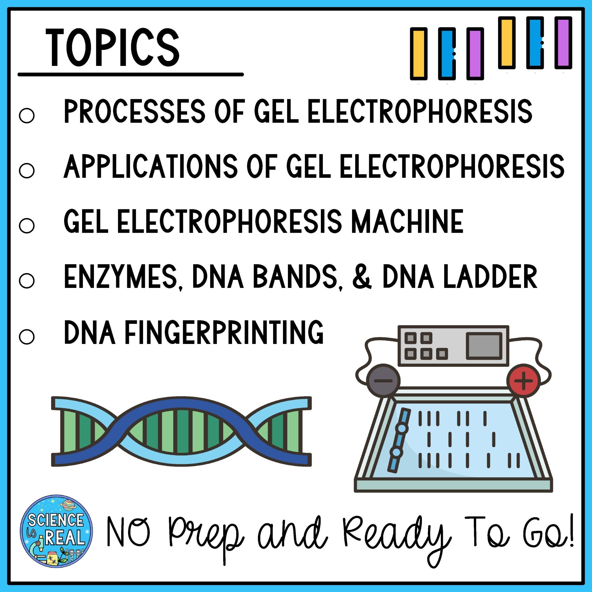 Gel Electrophoresis Amoeba Sisters Video Handout - Science is Real ...