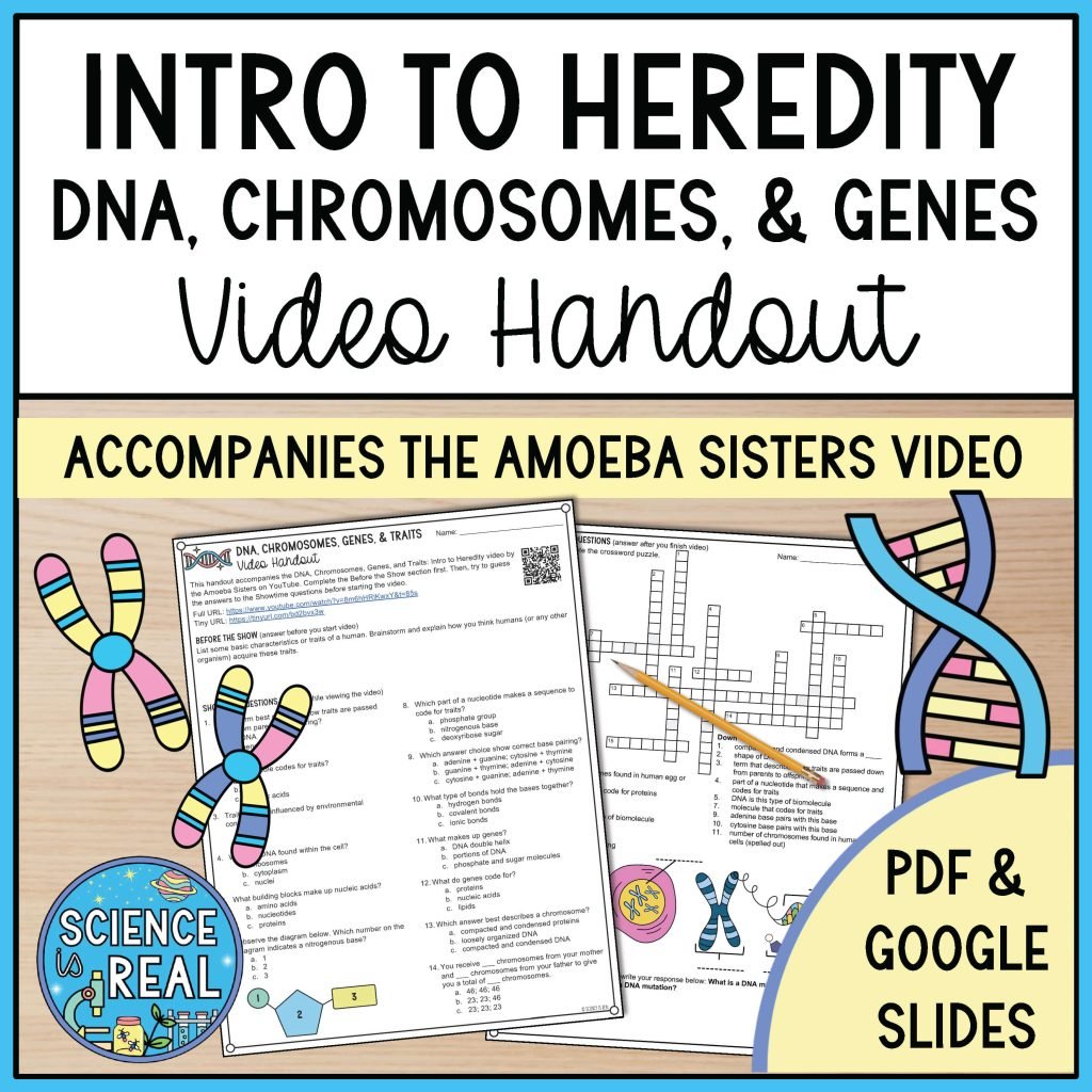 Intro to Heredity Amoeba Sisters Video Handout - Science is Real Education