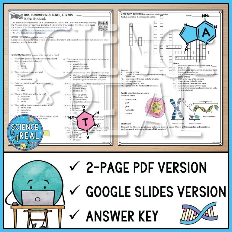 Intro to Heredity Amoeba Sisters Video Handout - Science is Real Education