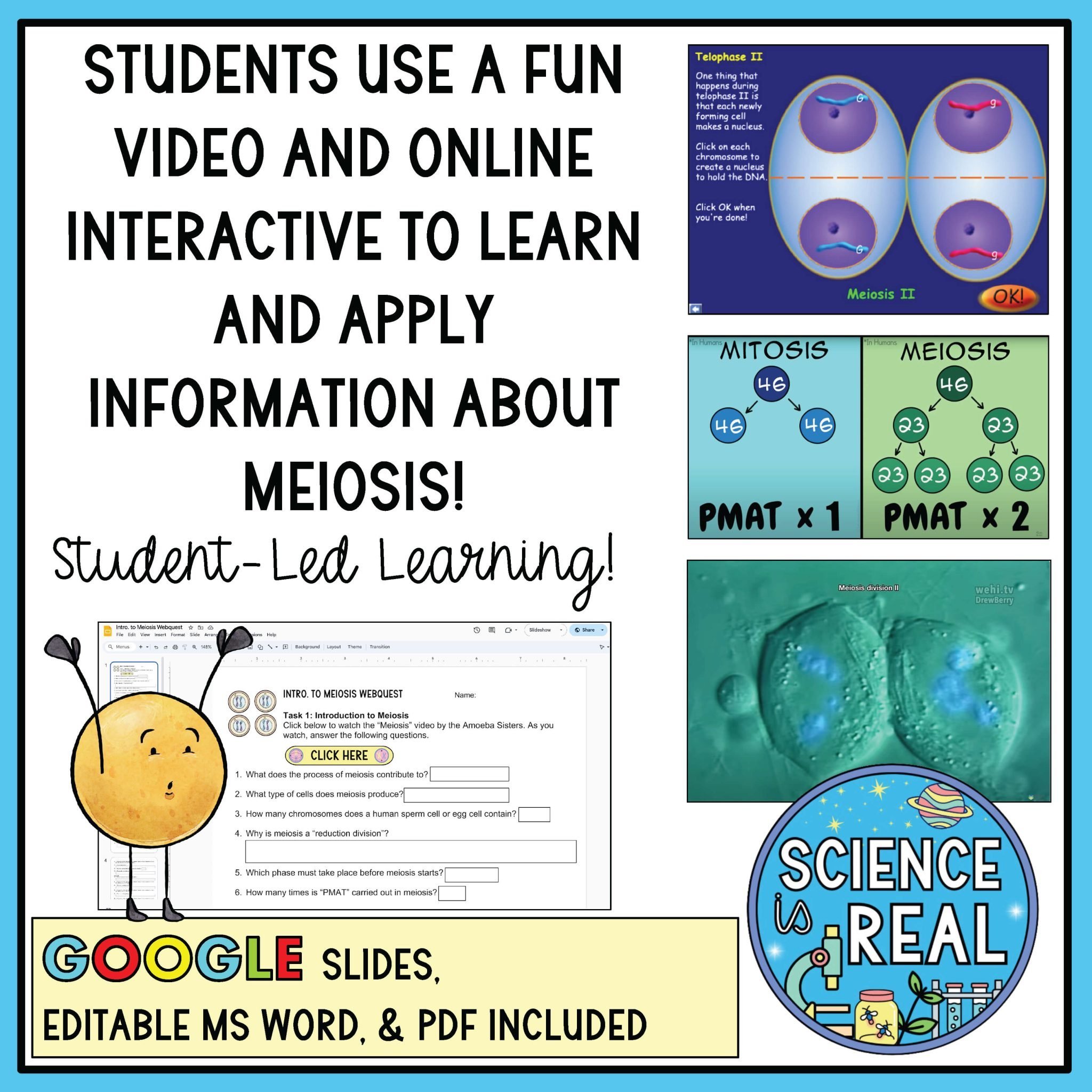 Intro to Meiosis Webquest - Science is Real Education