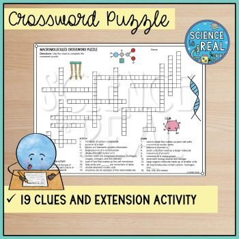 Macromolecules Graphic Organizer Activities - Science is Real Education