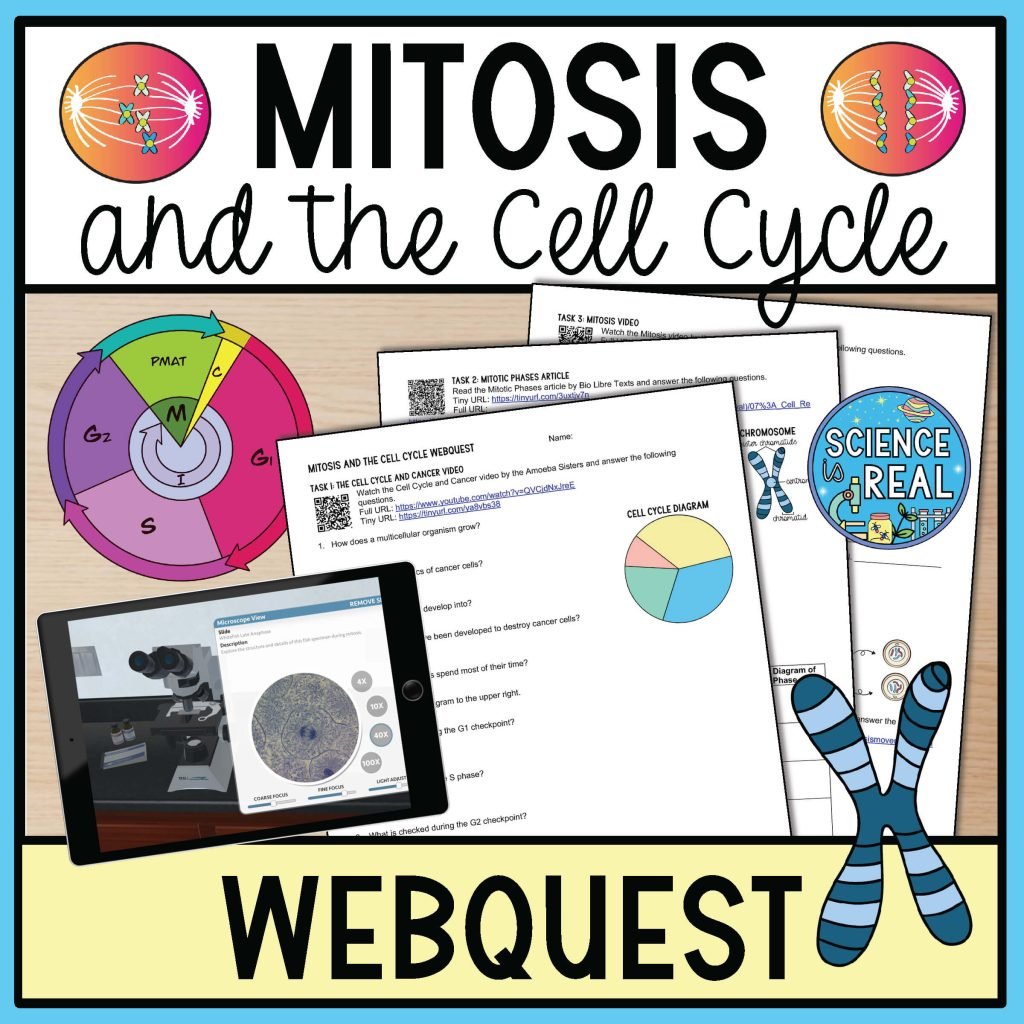 Dividing to Multiply: Teaching Mitosis in Your Science Classroom ...