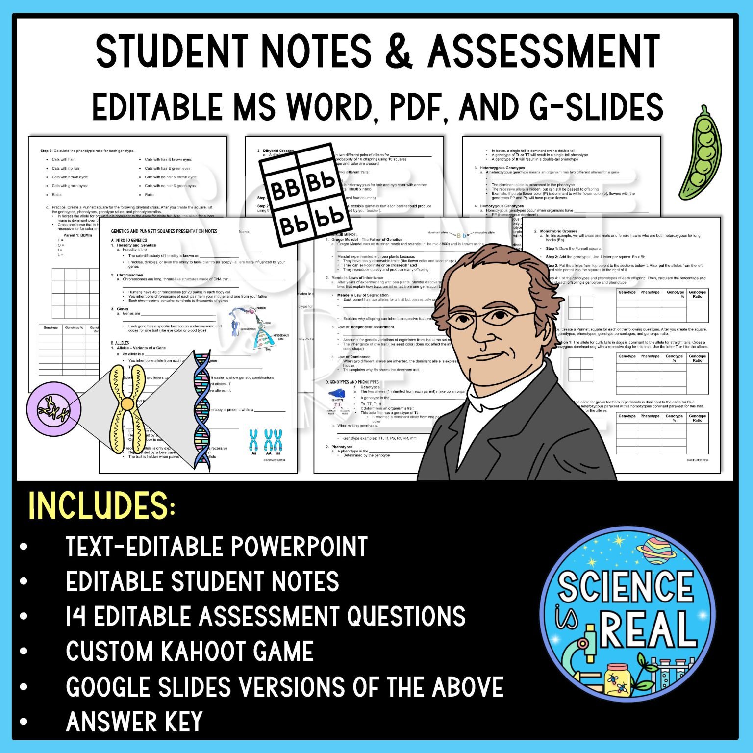 Genetics and Punnett Squares PowerPoint with Notes and Assessment ...