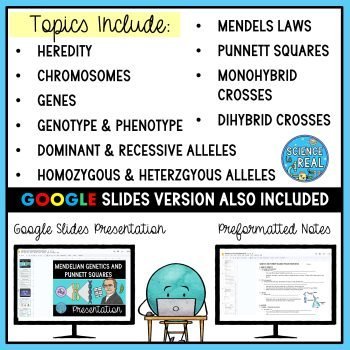 Genetics and Punnett Squares PowerPoint with Notes and Assessment ...