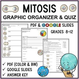 Mitosis Graphic Organizer and Quiz - Science is Real Education