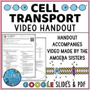Cell Transport Amoeba Sisters Handout - Science is Real Education