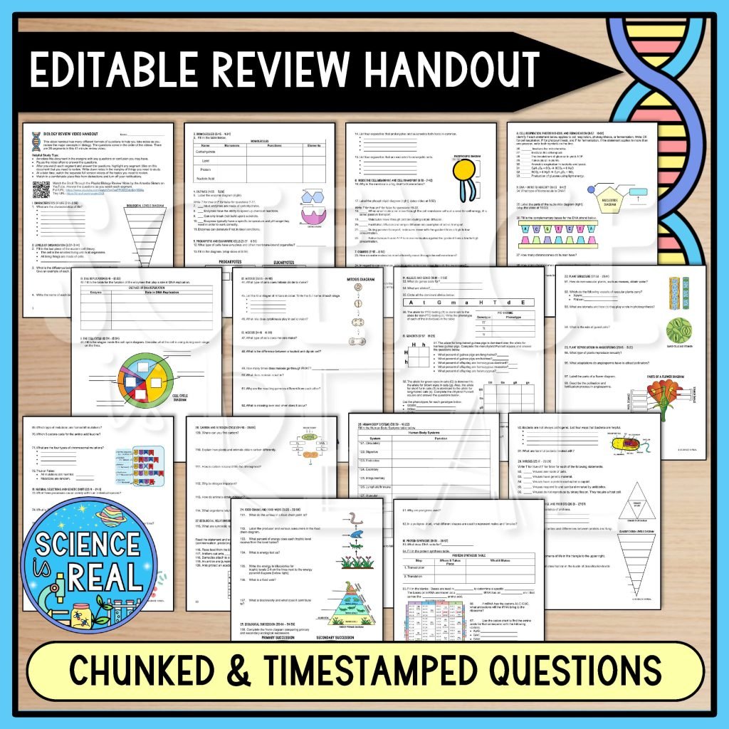 Biology Review Amoeba Sisters Video Handout - A Stroll Through the ...