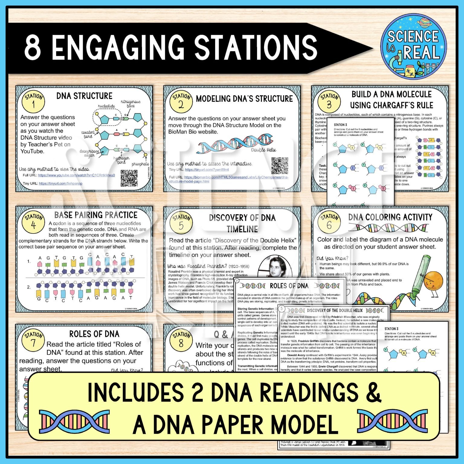 DNA Lab Stations - Science is Real Education