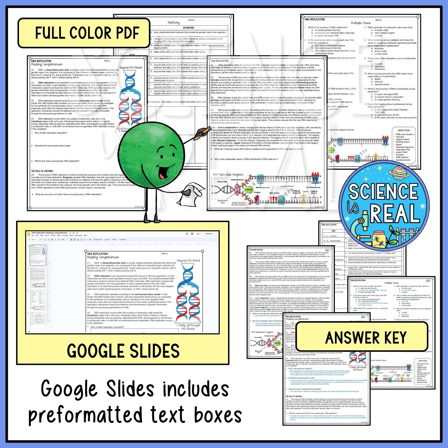 DNA Replication Reading Comprehension Worksheets - Science is Real ...