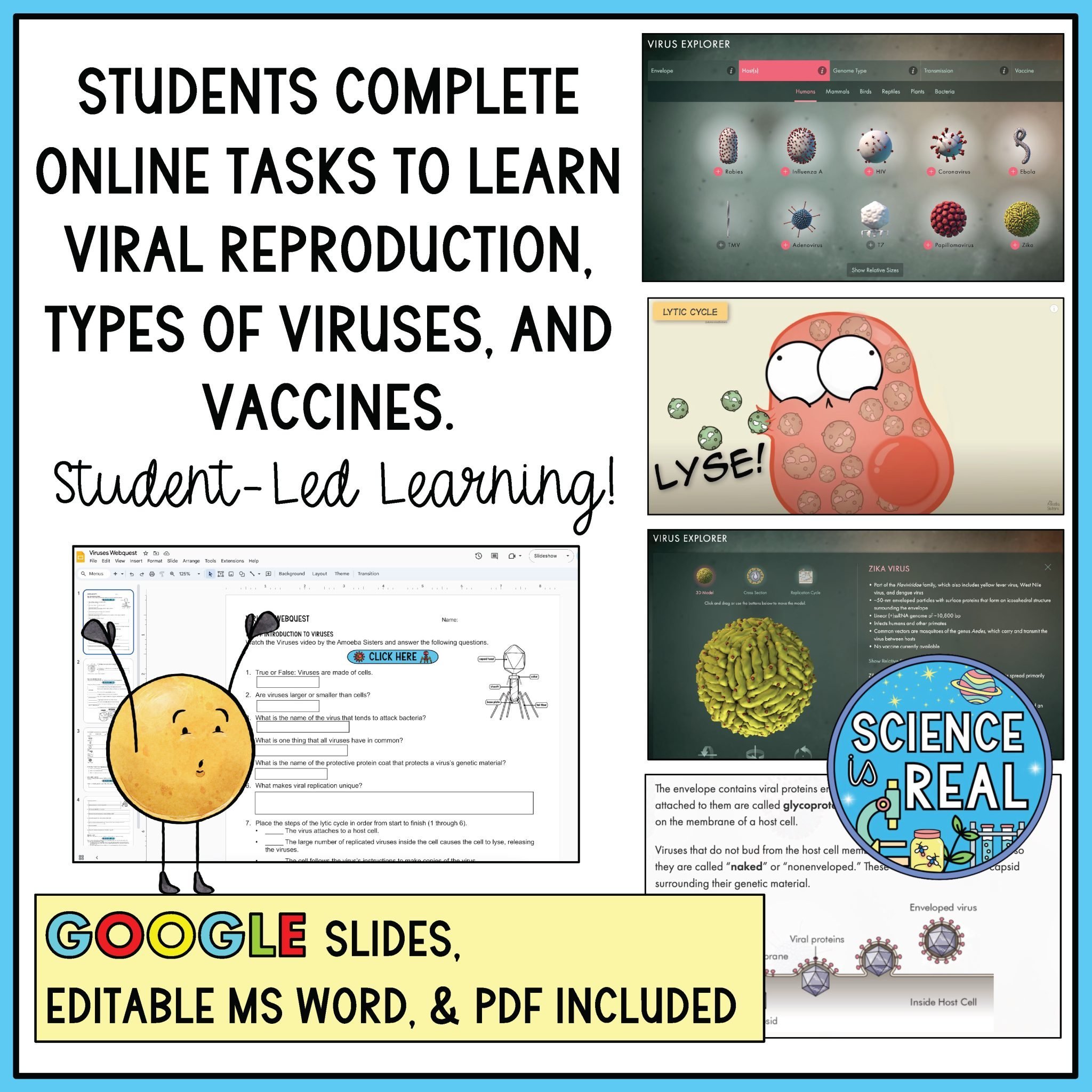 Viruses Webquest - Science is Real Education