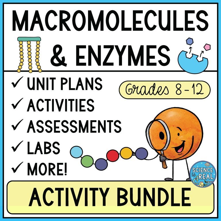 Engaging Macromolecules Lessons for High School Biology - Science is ...