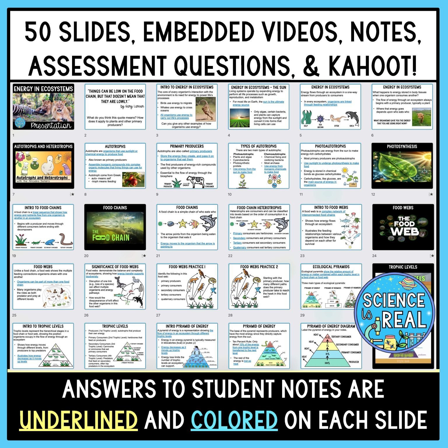 Energy Flow in Ecosystems PowerPoint: Food Chains, Food Webs, and ...