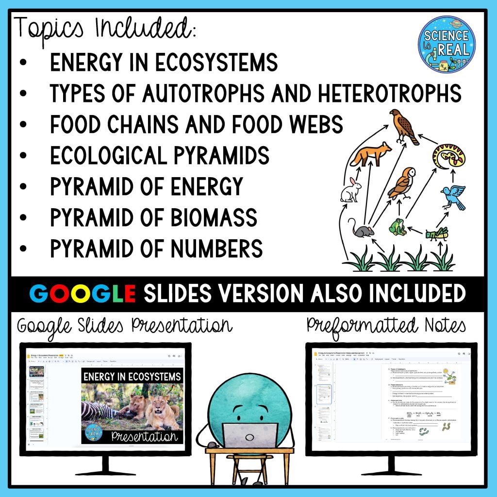 Energy Flow in Ecosystems PowerPoint: Food Chains, Food Webs, and ...
