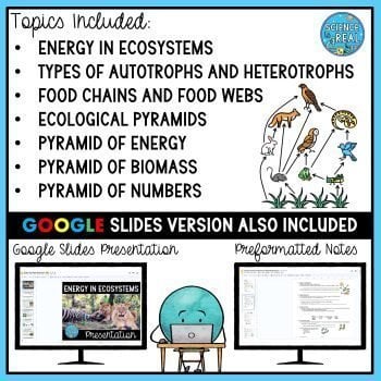 Energy Flow in Ecosystems PowerPoint: Food Chains, Food Webs, and ...