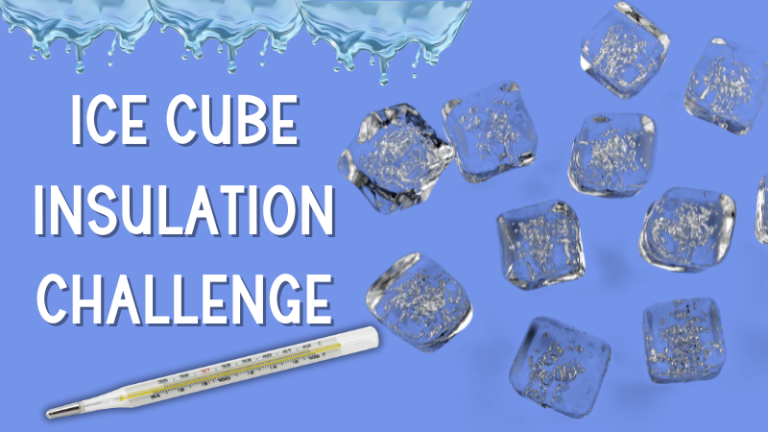 10 Fun Snow Day Activities for Science
