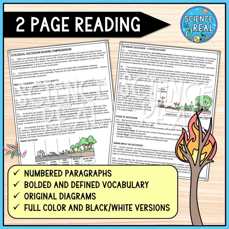 Ecological Succession Reading Comprehension - Science is Real Education