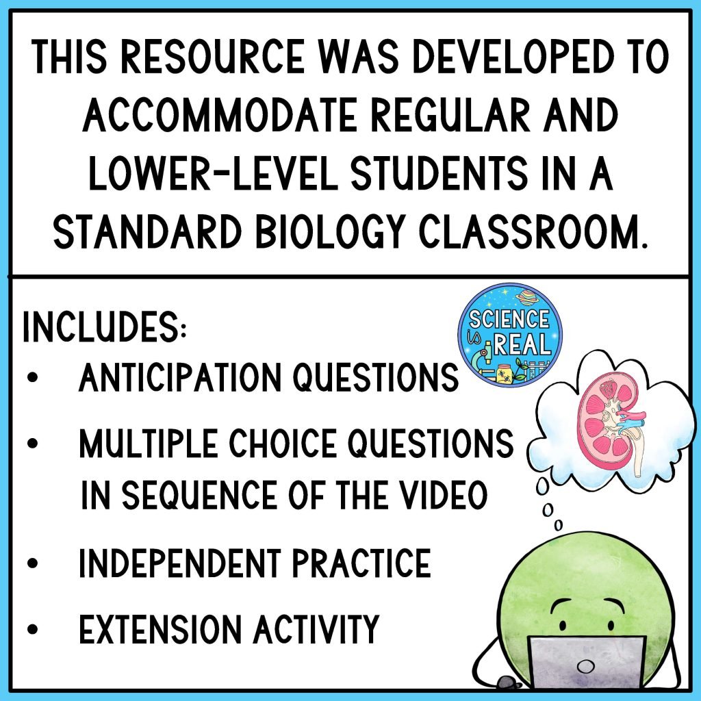 Excretory System Amoeba Sisters Video Handout - Science is Real Education