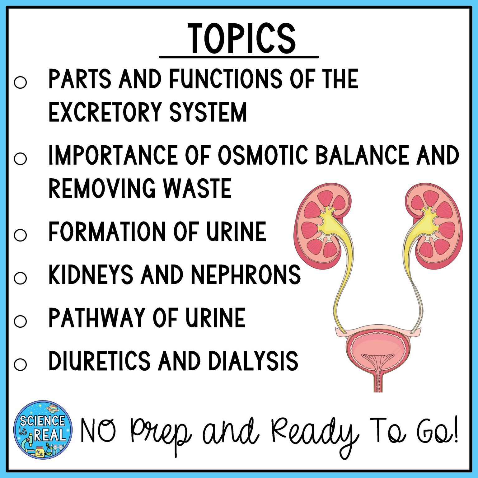 Excretory System Amoeba Sisters Video Handout - Science is Real Education