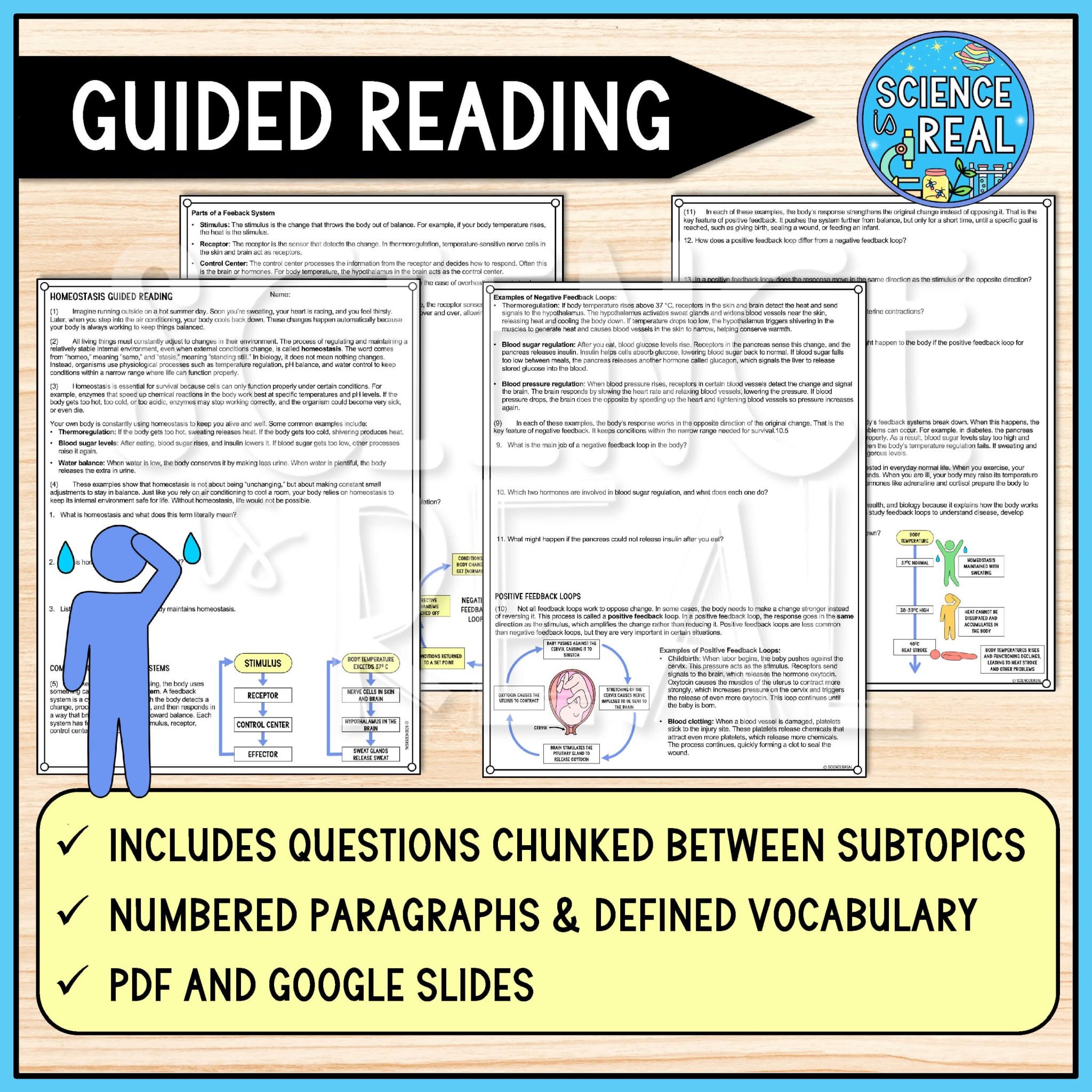 Homeostasis Reading Comprehension and Worksheet - Science is Real Education