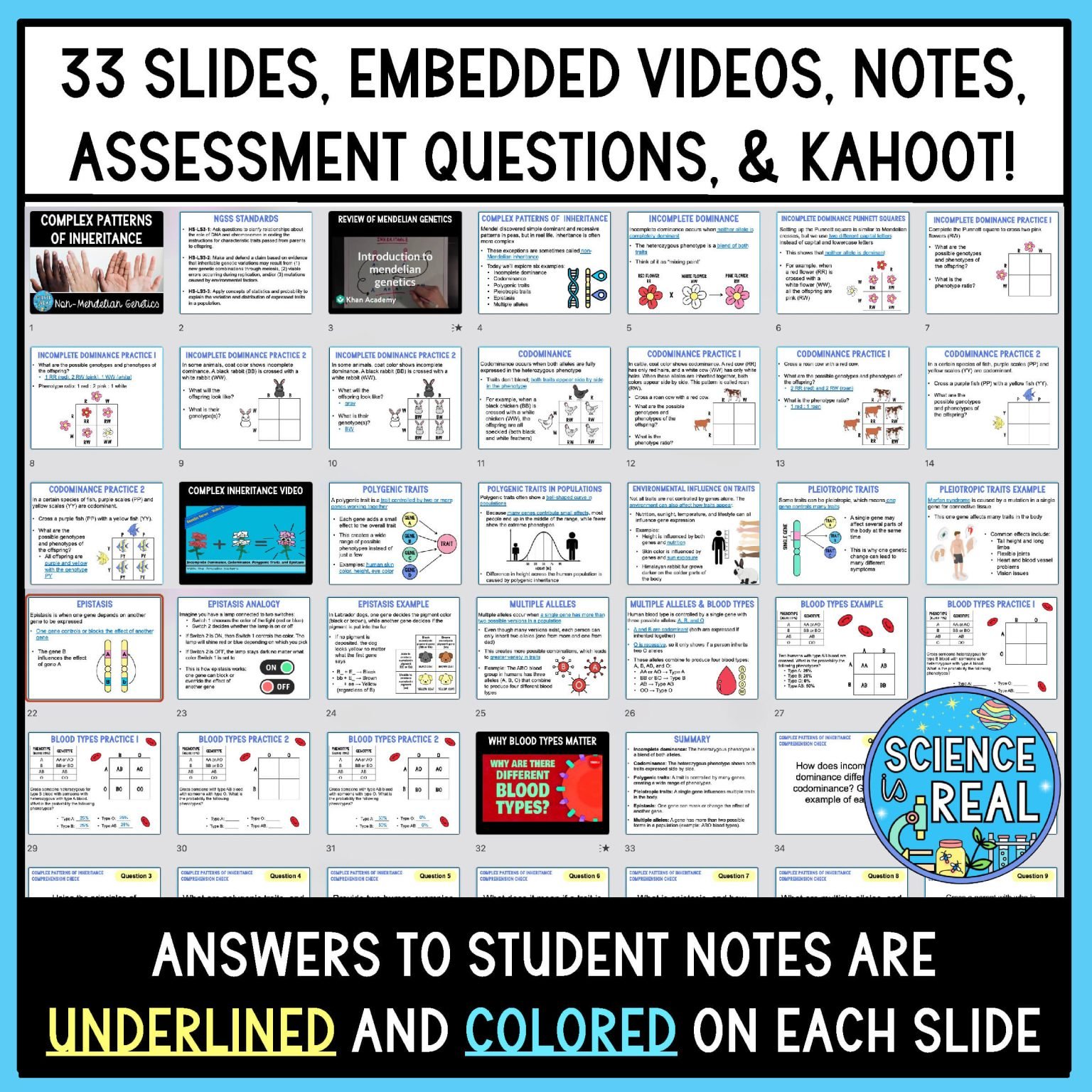 Non-Mendelian Genetics PowerPoint and Slides with Notes and Assessment ...
