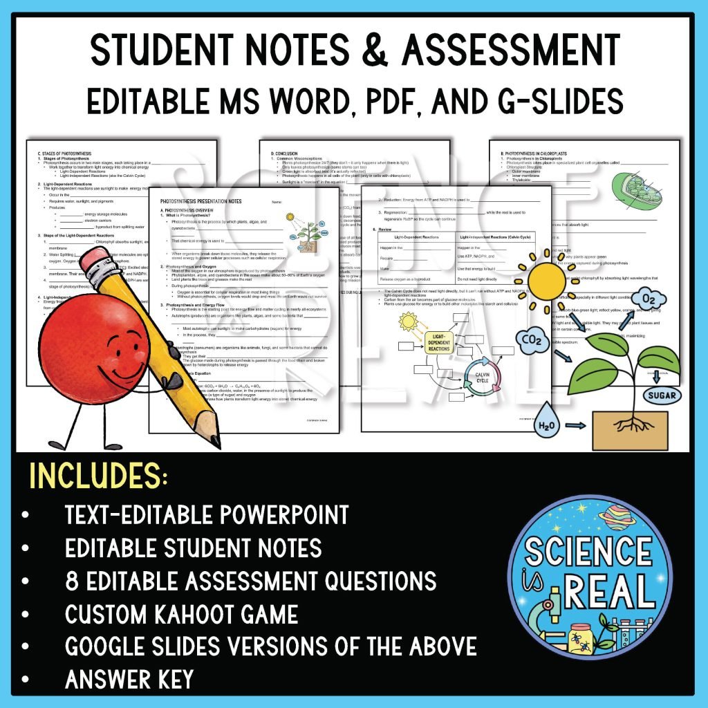 Photosynthesis PowerPoint and Slides with Notes and Assessment ...
