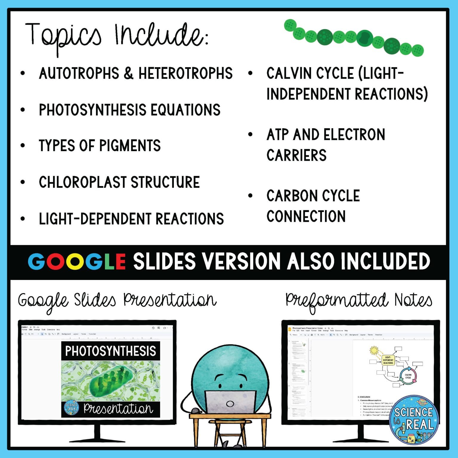 Photosynthesis PowerPoint and Slides with Notes and Assessment ...