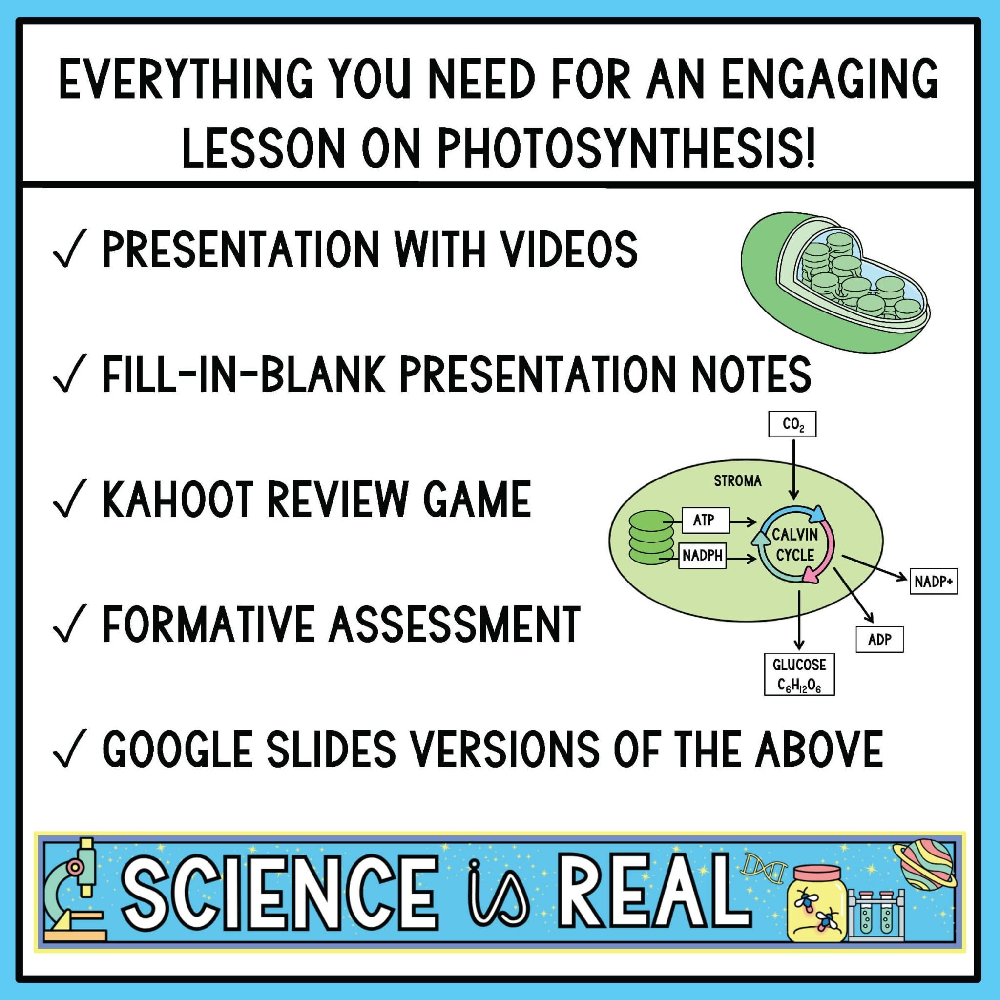 Photosynthesis PowerPoint and Slides with Notes and Assessment ...