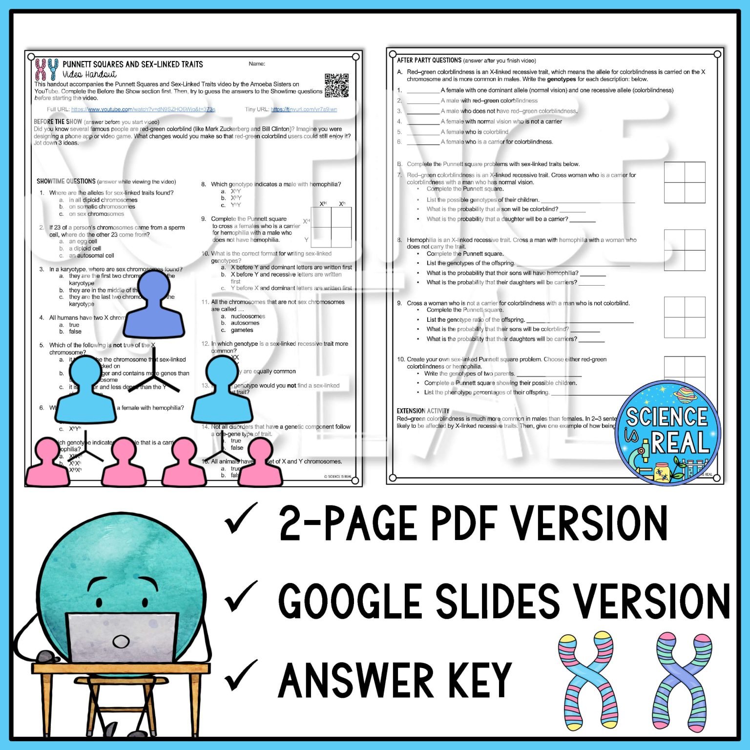 Punnett Squares and Sex-Linked Traits Amoeba Sisters Handout - Science ...