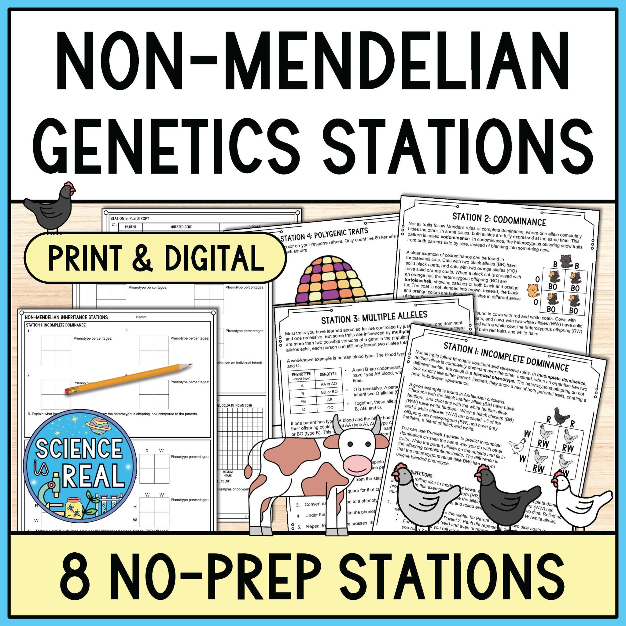 6 Fun Science Winter Holiday Stations - Science is Real Education