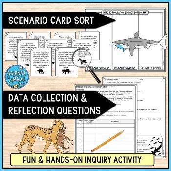Population Ecology Activity: Intro to Limiting Factors Card Sort and ...